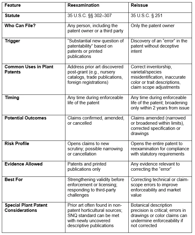 Reexamination and Reissue for Plant Patents: An Underused Avenue for ...